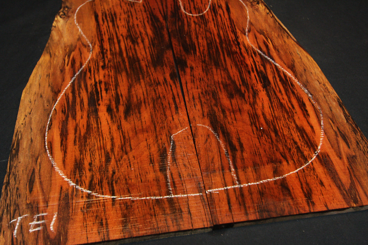 Tasmanian Tiger Myrtle Electric Guitar Drop Top – Tasmanian Acoustic ...