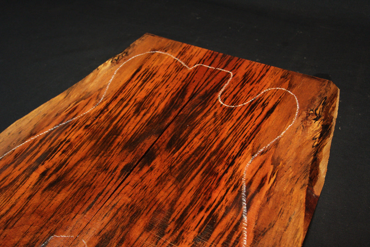 Tasmanian Tiger Myrtle Electric Guitar Drop Top – Tasmanian Acoustic ...