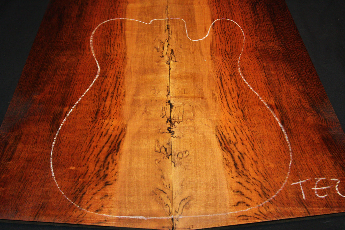 Tasmanian Tiger Myrtle Electric Guitar Drop Top – Tasmanian Acoustic ...